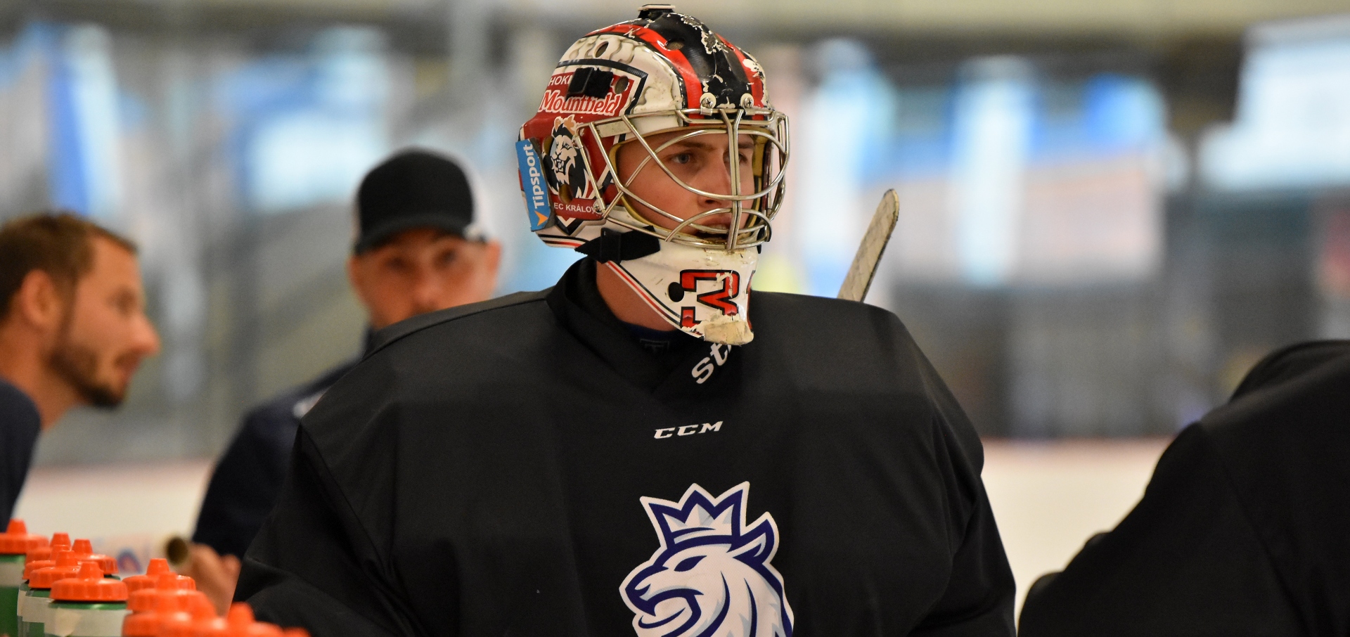 13 Hradečáků na repre akce, Krátoška pokračuje u dvacítky | Mountfield HK