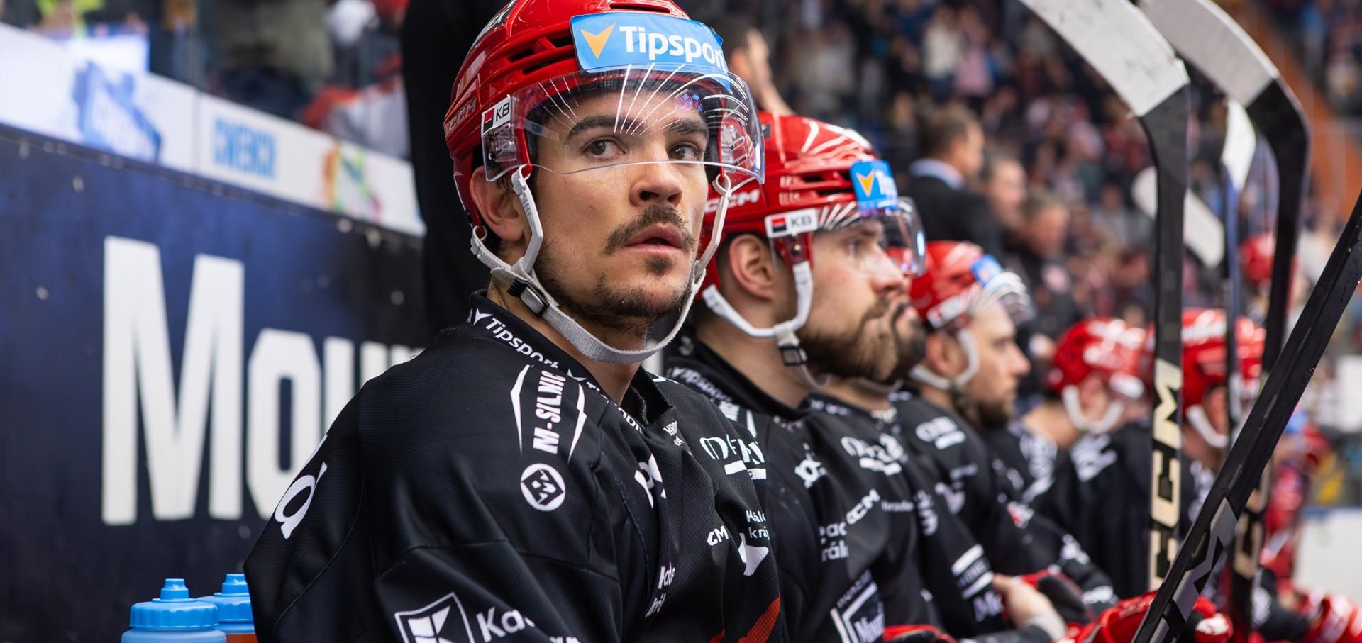 McDavid, Pastrňák i Jordann Perret! Hradecký hokejista na ZOH ...